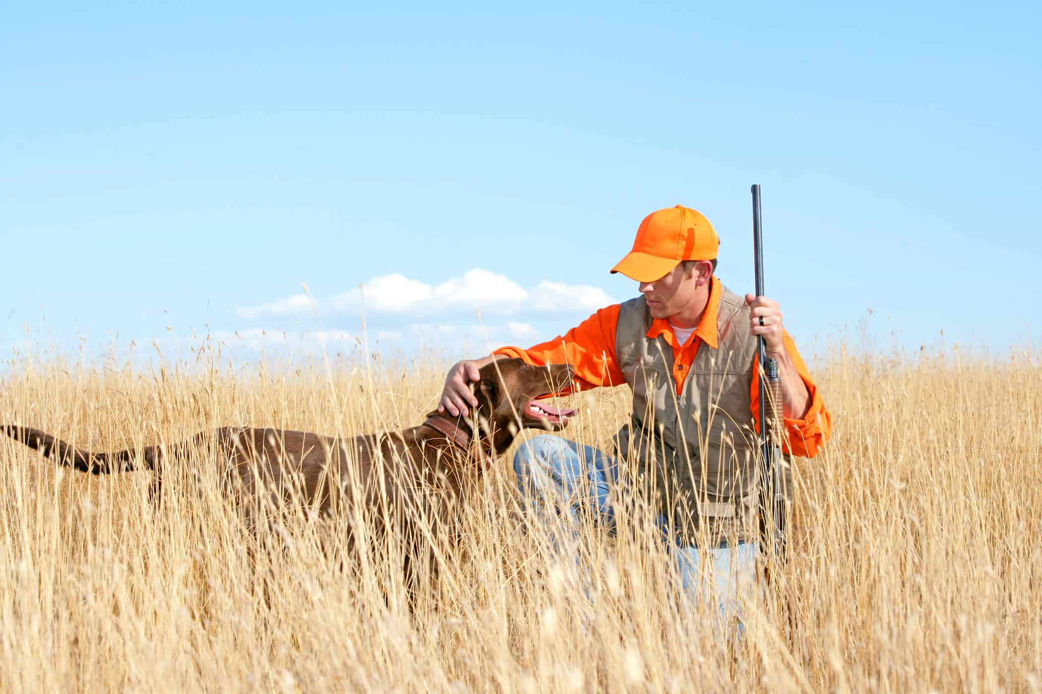 How to make my dogs first hunt successful - Otter Tail Kennels