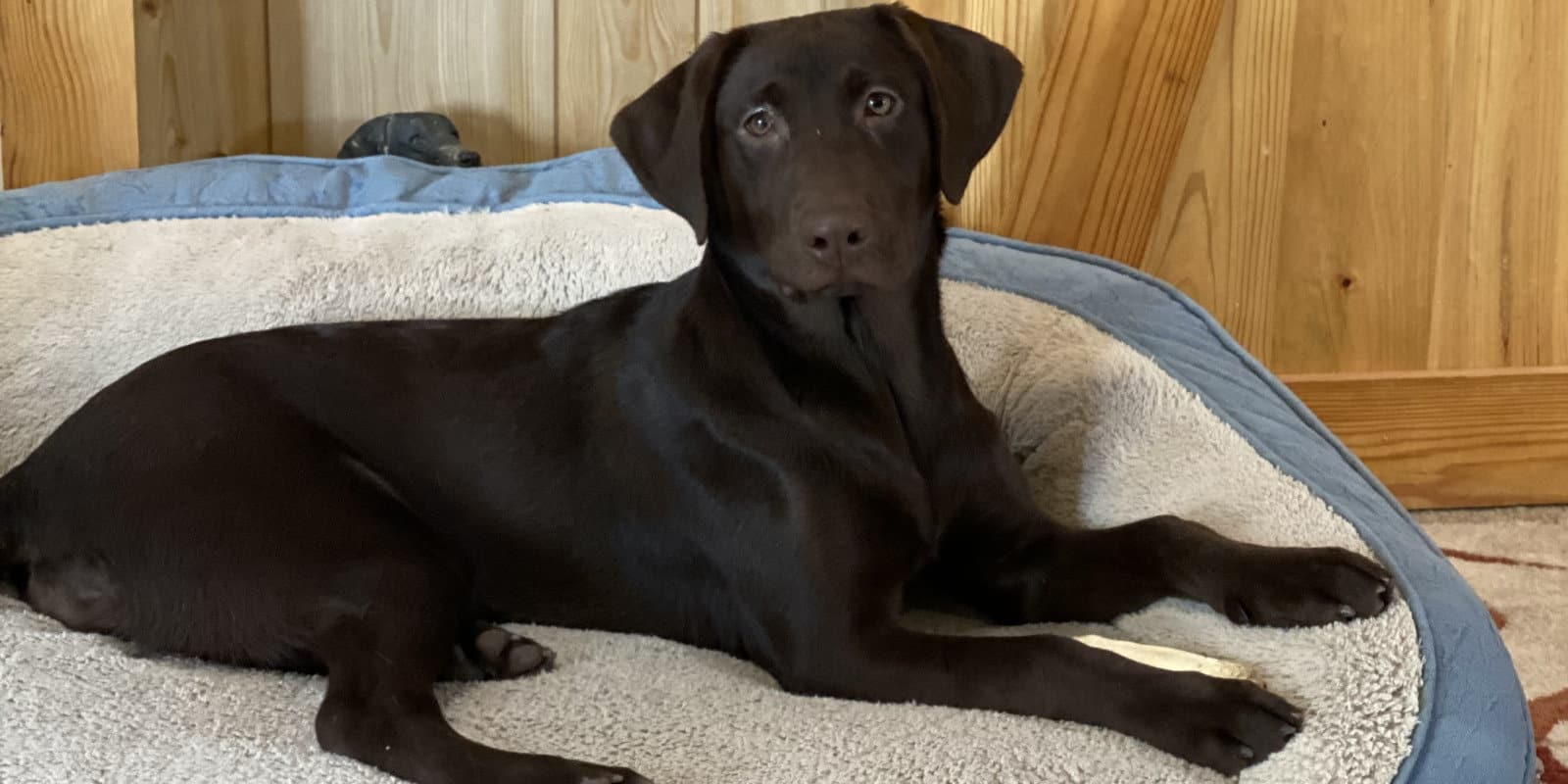 Education - Otter Tail Kennels