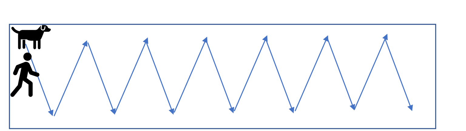 How to teach retrievers to quarter a field - Otter Tail Kennels