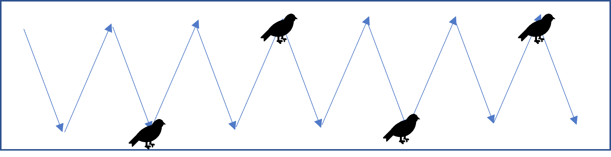 How to teach retrievers to quarter a field - Otter Tail Kennels